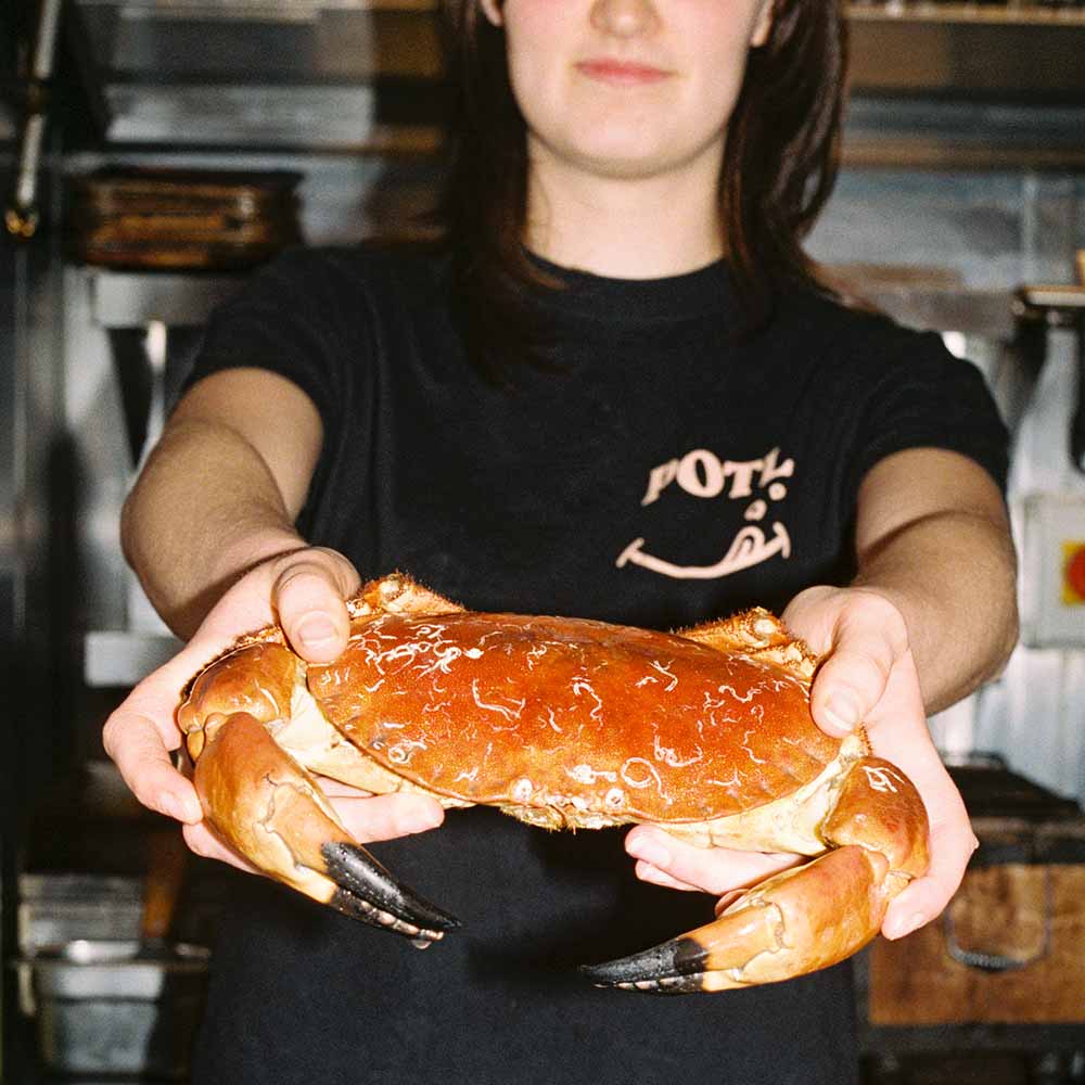 Prawn on the Lawn | Clothing & Merchandise – Prawn on the Lawn Shop